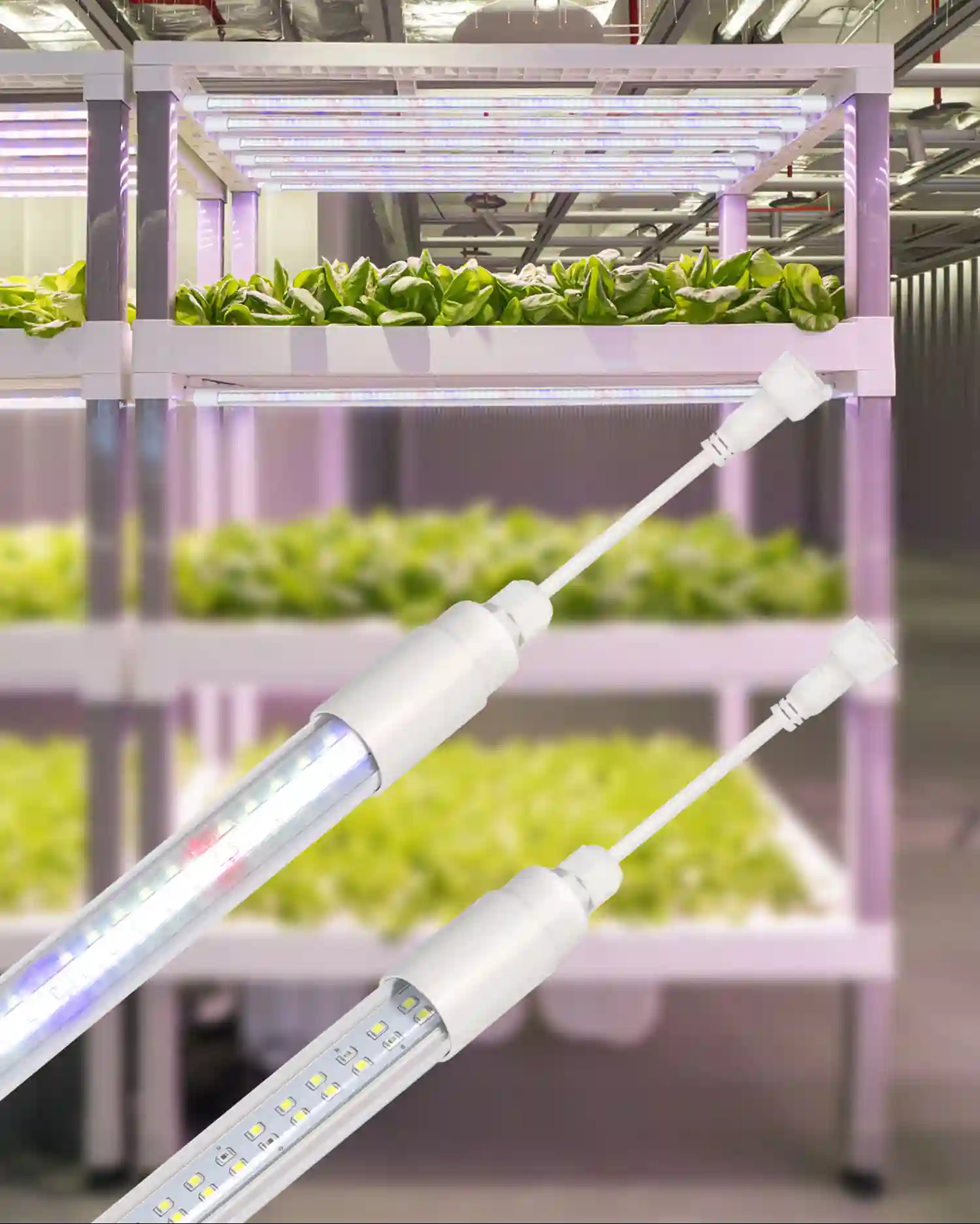 4FT 9000K T8 LED Grow Light