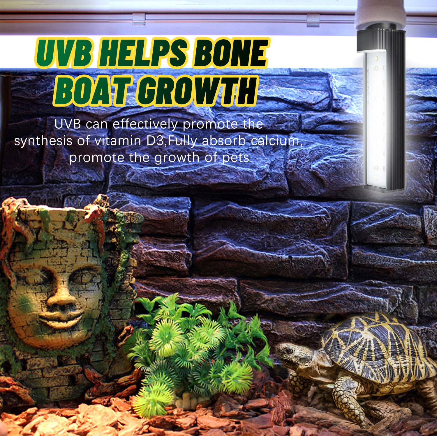 How to Set Up Lighting for a Healthier Leopard Gecko | UVB Lighting Guide