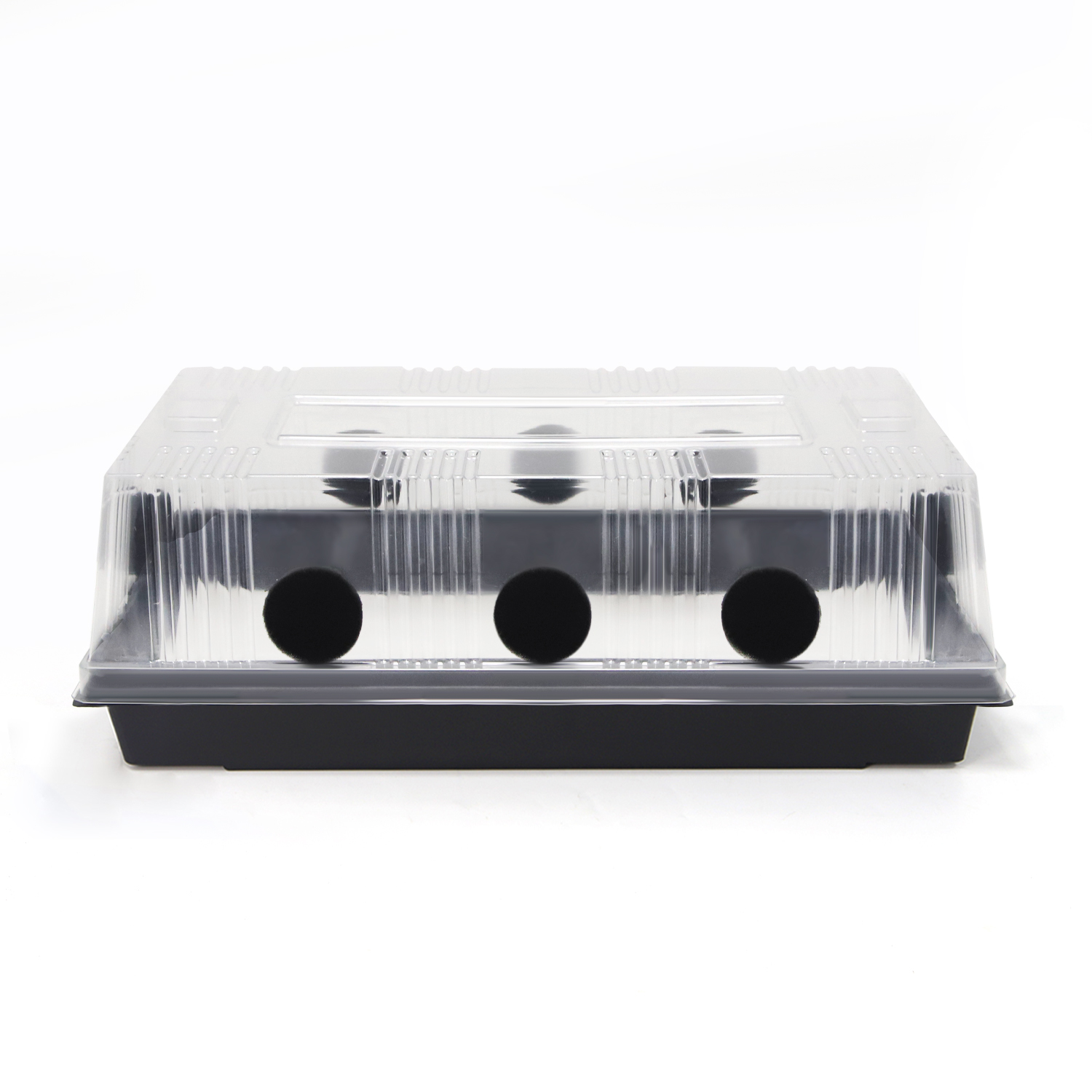 Indoor Mushroom Grow Box