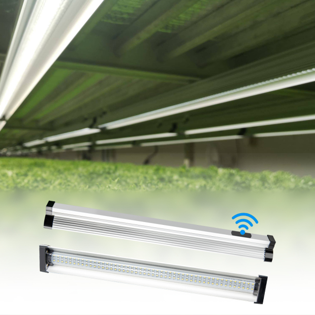 EDK III WiFi LED Grow Lights – 18W to 80W, 6400K Full Spectrum, Smart ...