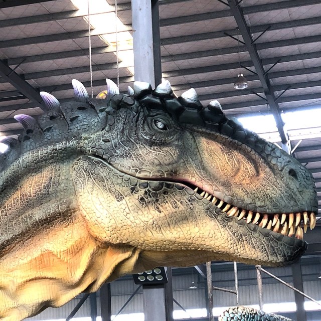 Large-size Realistic Dinosaurs Animatronic Giganotosaurs