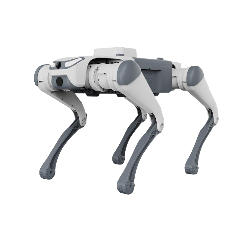 Intelligent Quadruped Robot Dog