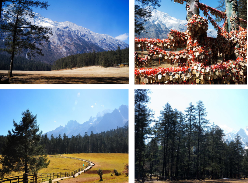 Lijiang: Tour to Jade Dragon Snow Mountain