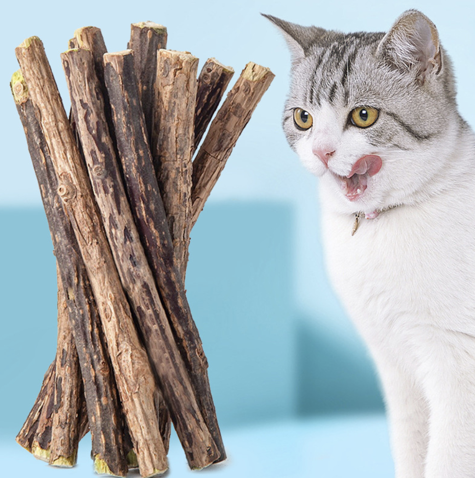Catnip Bites, Relieves Stress, Teas Cat Toys, Cat Snacks, 5-piece Set ...