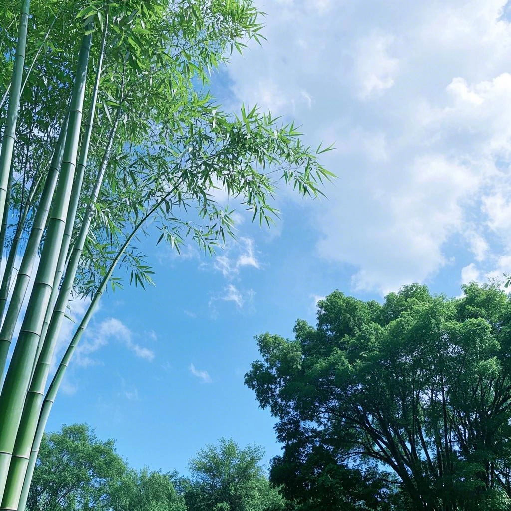 What are the advantages and disadvantages of bamboo pulp tissue paper ...