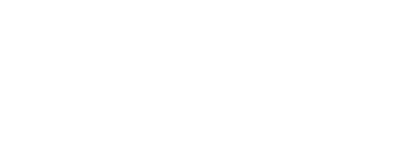 Premium Disposable Vape - Official Sale