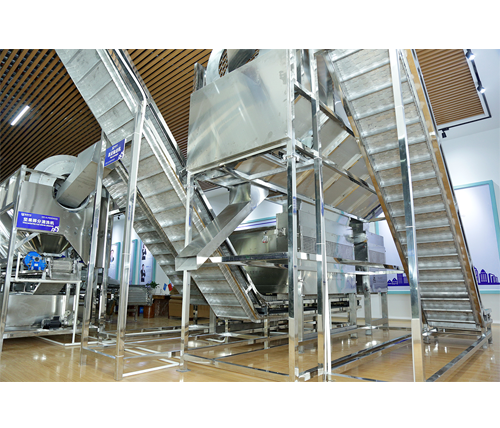 Macadamia primary processing line,Coffee and rugged processing equipment