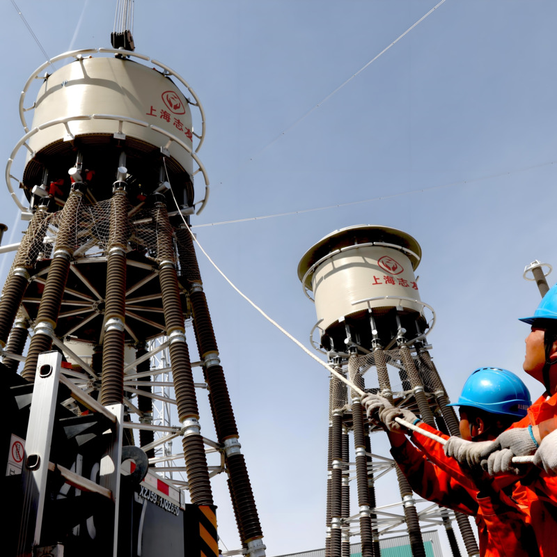 Bridge Arm Reactor | Shanghai Zhiyou Reactor Factory