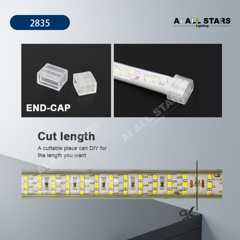 SMD 2835 LED Strip Light 50M/100M Roll AC 220V Waterproof Flexible LED ...