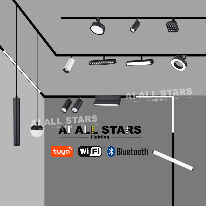 24-Type 220V Magnetic LED Track Light – Factory Wholesale Lighting ...