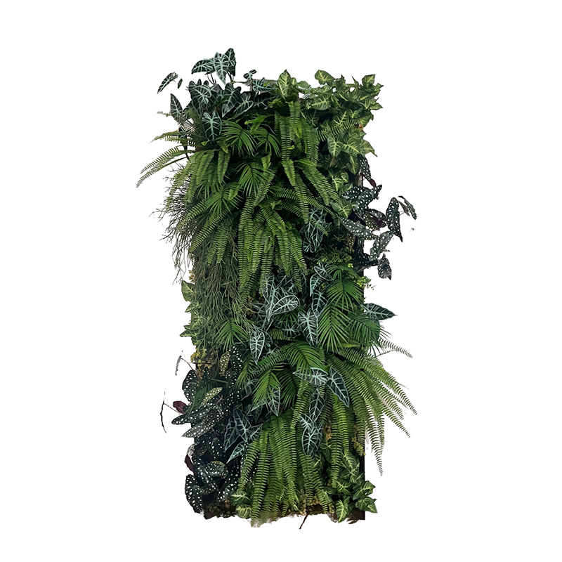 Interior Vertical Green Wall Design