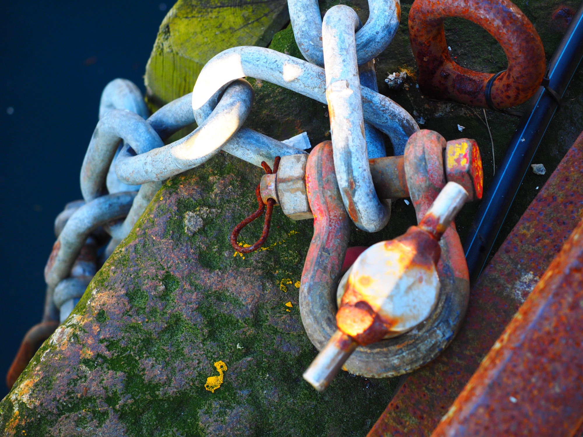 Safety Pin Bow Shackle, Bolt type Anchor Shackle