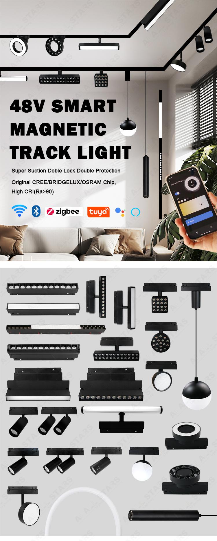 Low Voltage 48V LED Magnetic Track Light Manufacturer