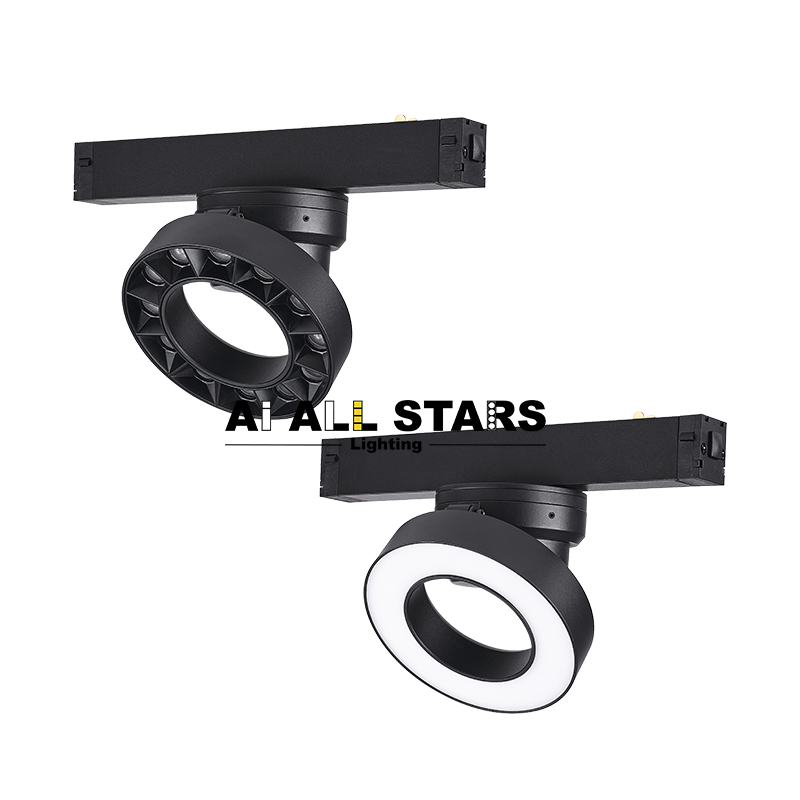 Tuya Control 220V 24M Magnetic Round Light Wholesale