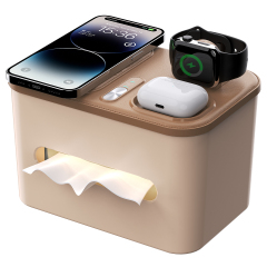 Multifunctional Tissue Box