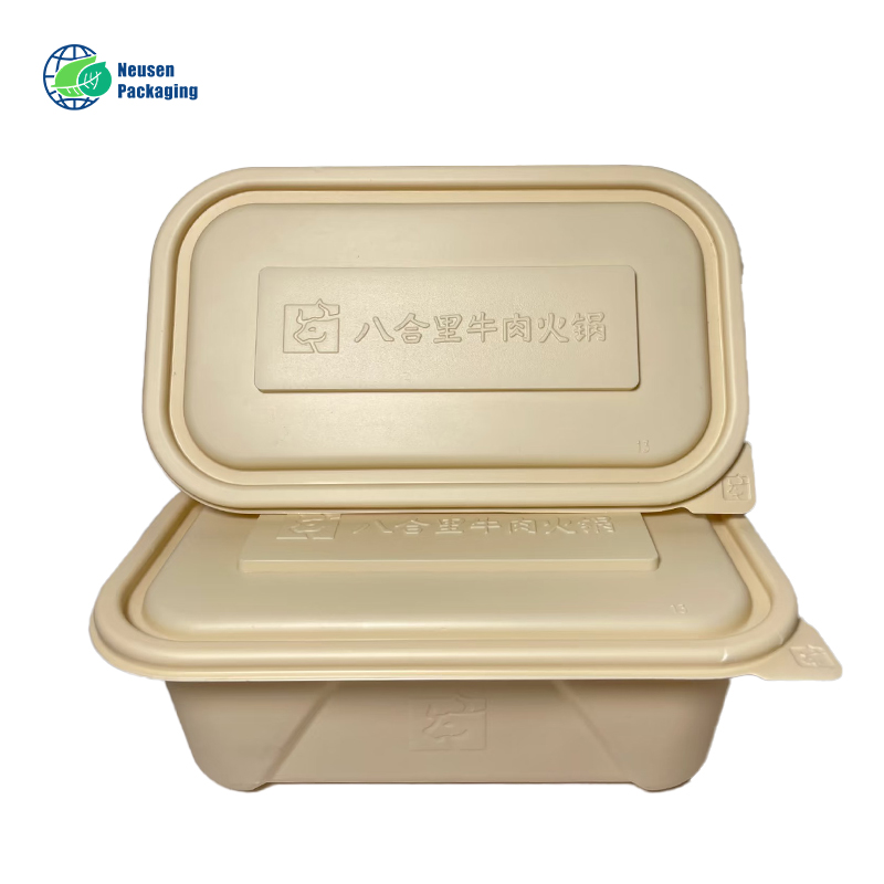 Disposable Biodegradable Food Containers