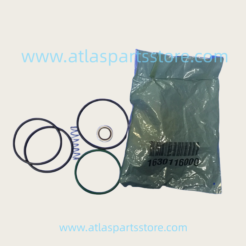 2901050301 Original Industrial Compressor Parts check valve kit for ...