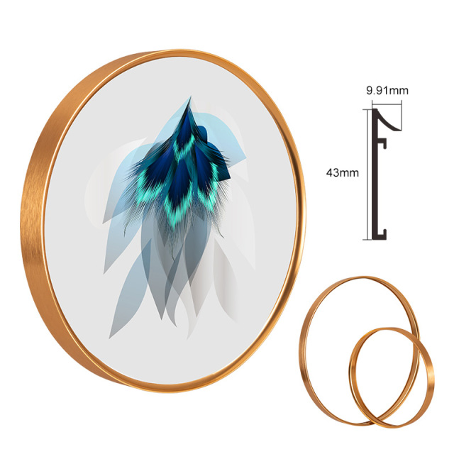 circular picture mounts