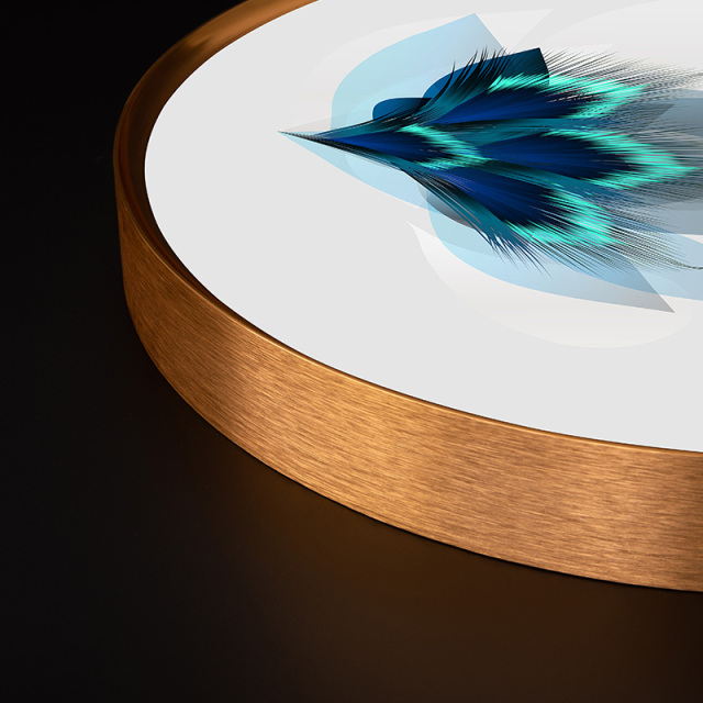 circular picture mounts