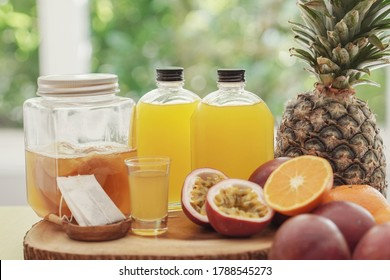 Plant-Based Fermentation Agents