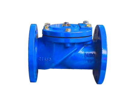 Rubber flap check valve