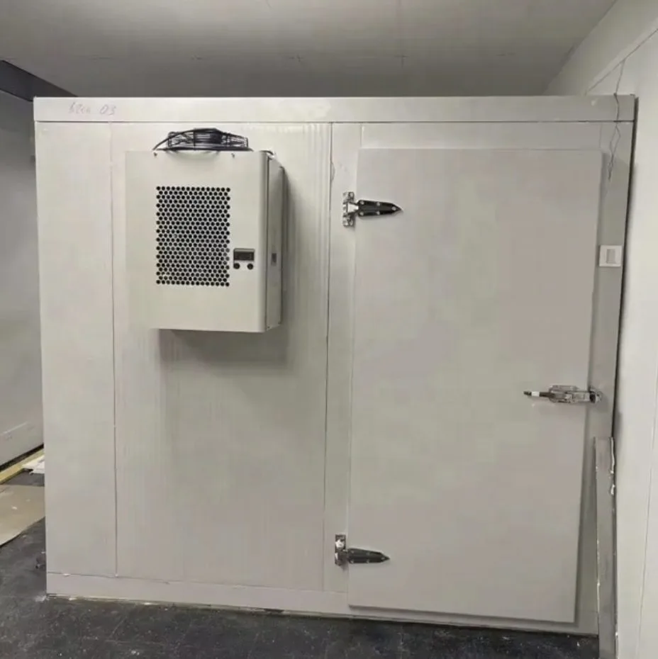Walk-In Cooler / Freezer – DIY Installation Hunting Cooler USA