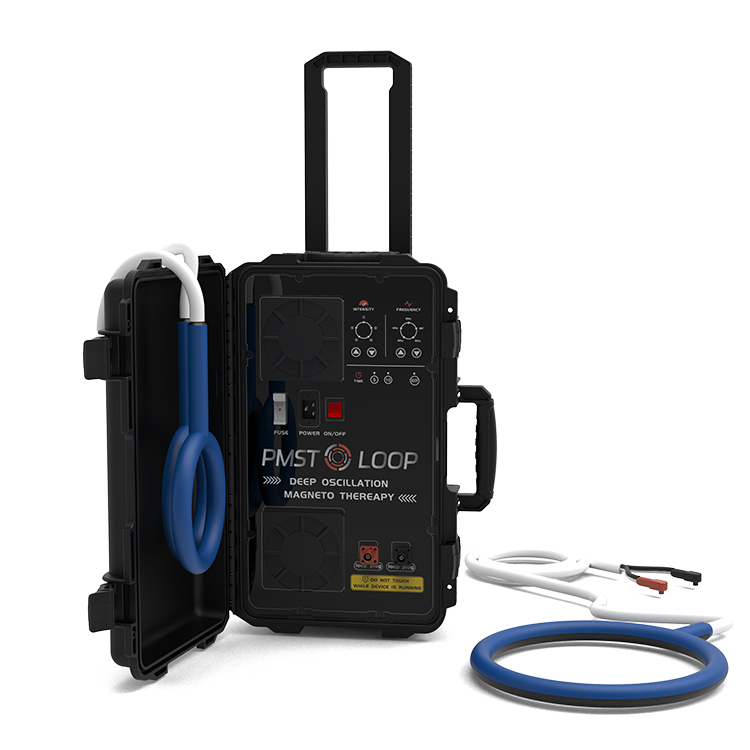 Pemf Vet Magneto Therapy Plus Physical Rehabilitation Magnetotherapy ...