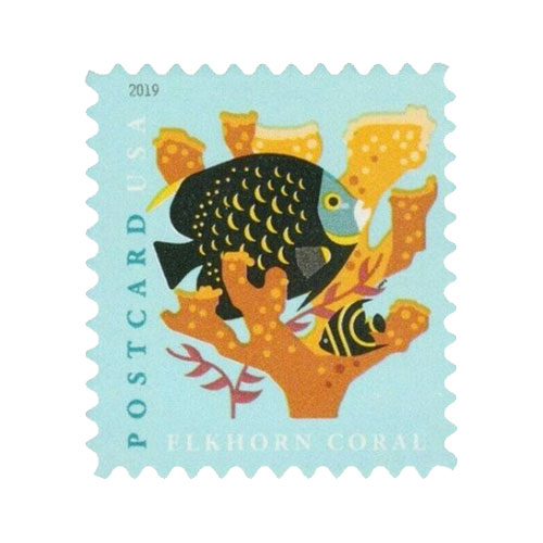 USPS Coral Reefs Postcard First Class Forever Postage Stamps