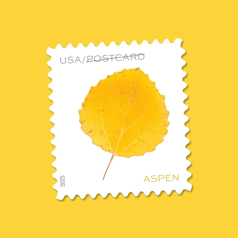 2025 Vibrant Leaves Postcard Stamps, Sheetof 20 Postcard |Multiple ...