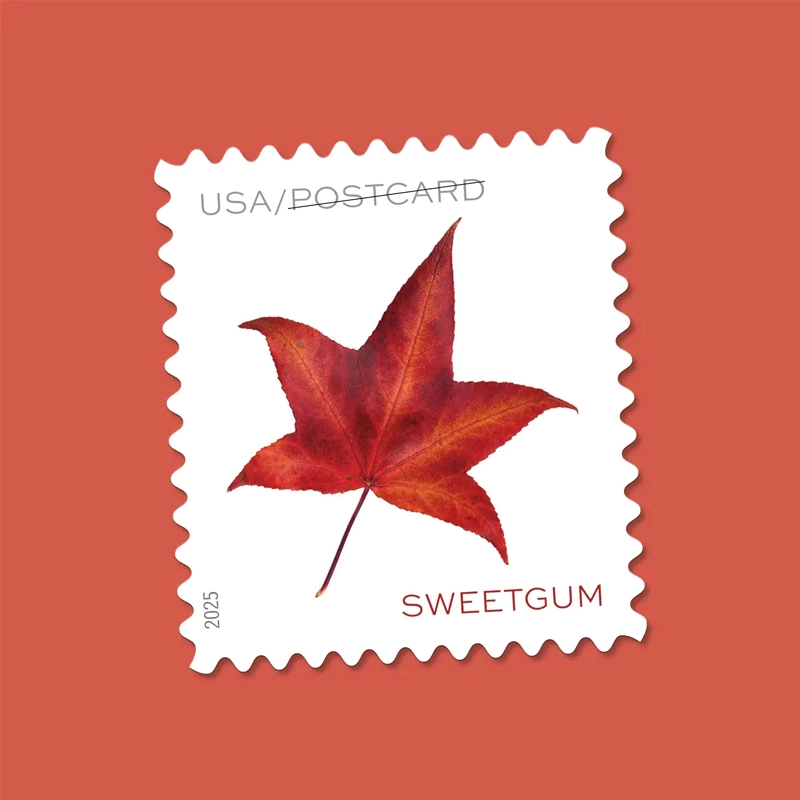 2025 Vibrant Leaves Postcard Stamps, 1 Roll of 100 Pcs Postcard ...