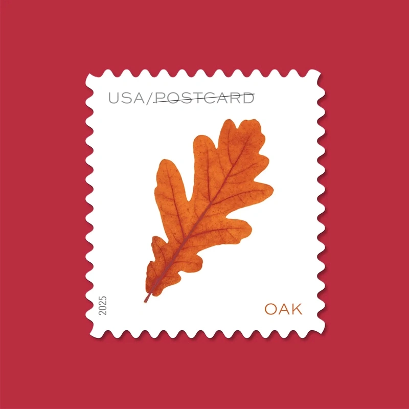 2025 Vibrant Leaves Postcard Stamps, Sheetof 20 Postcard |Multiple ...