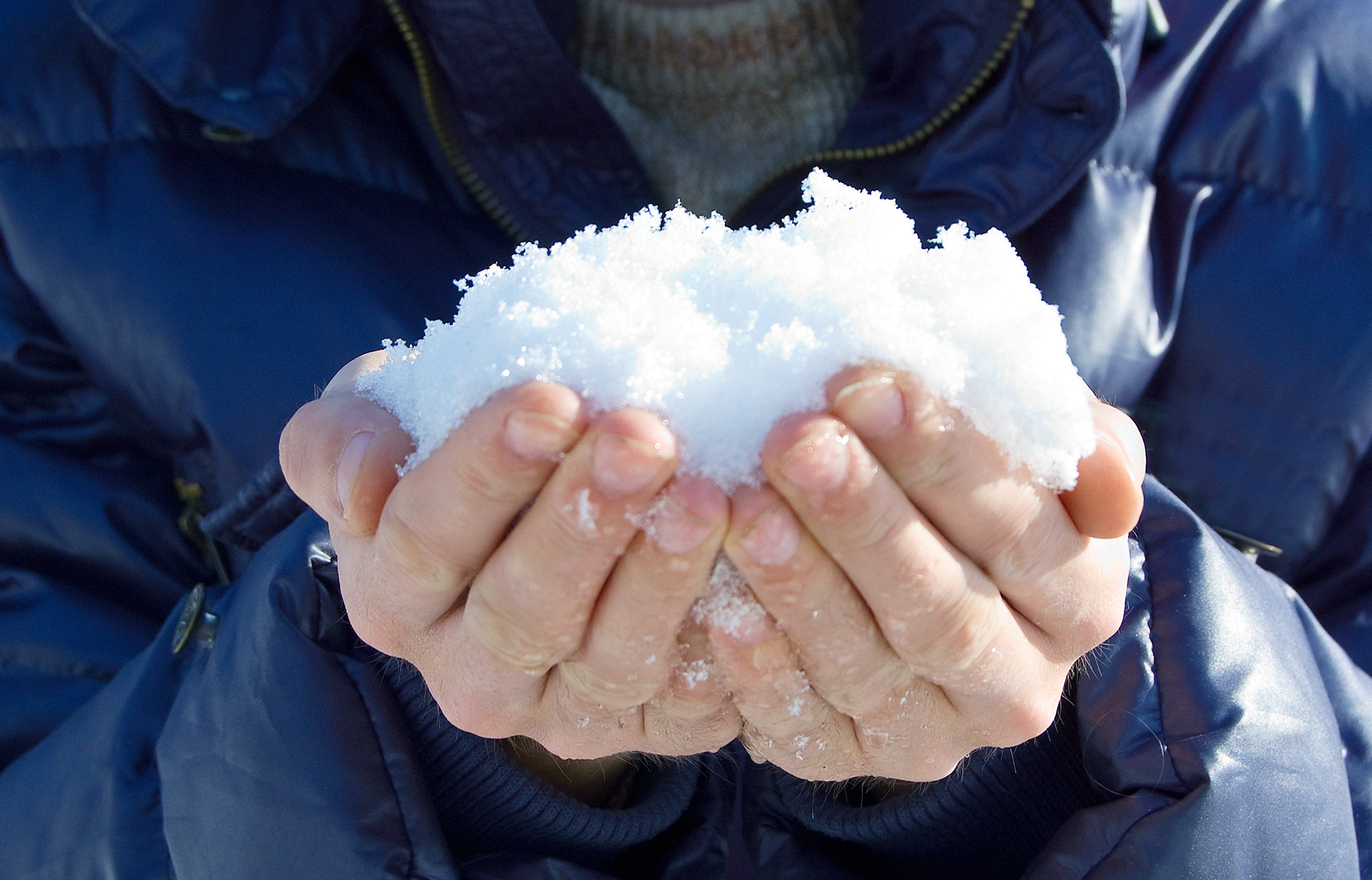 Best Snow Falling Machines for Ski Resorts and Theme Parks: Cooling ...