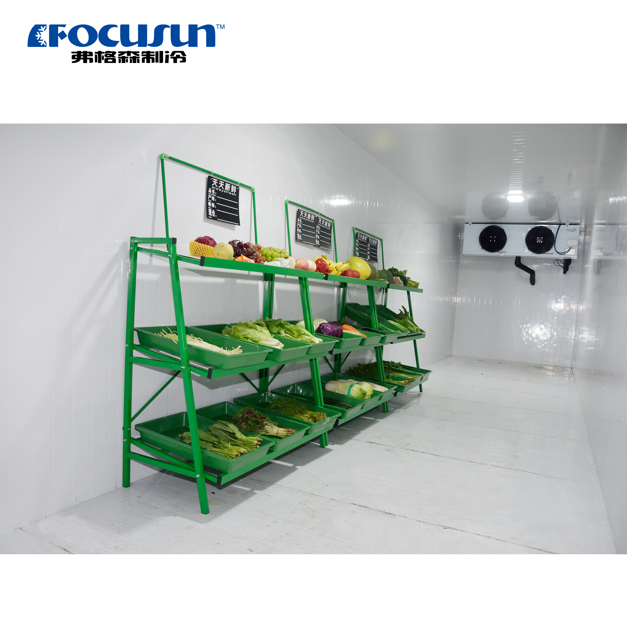 FOCUSUN solar powered cold storage: A Green and Energy-Efficient Cold ...