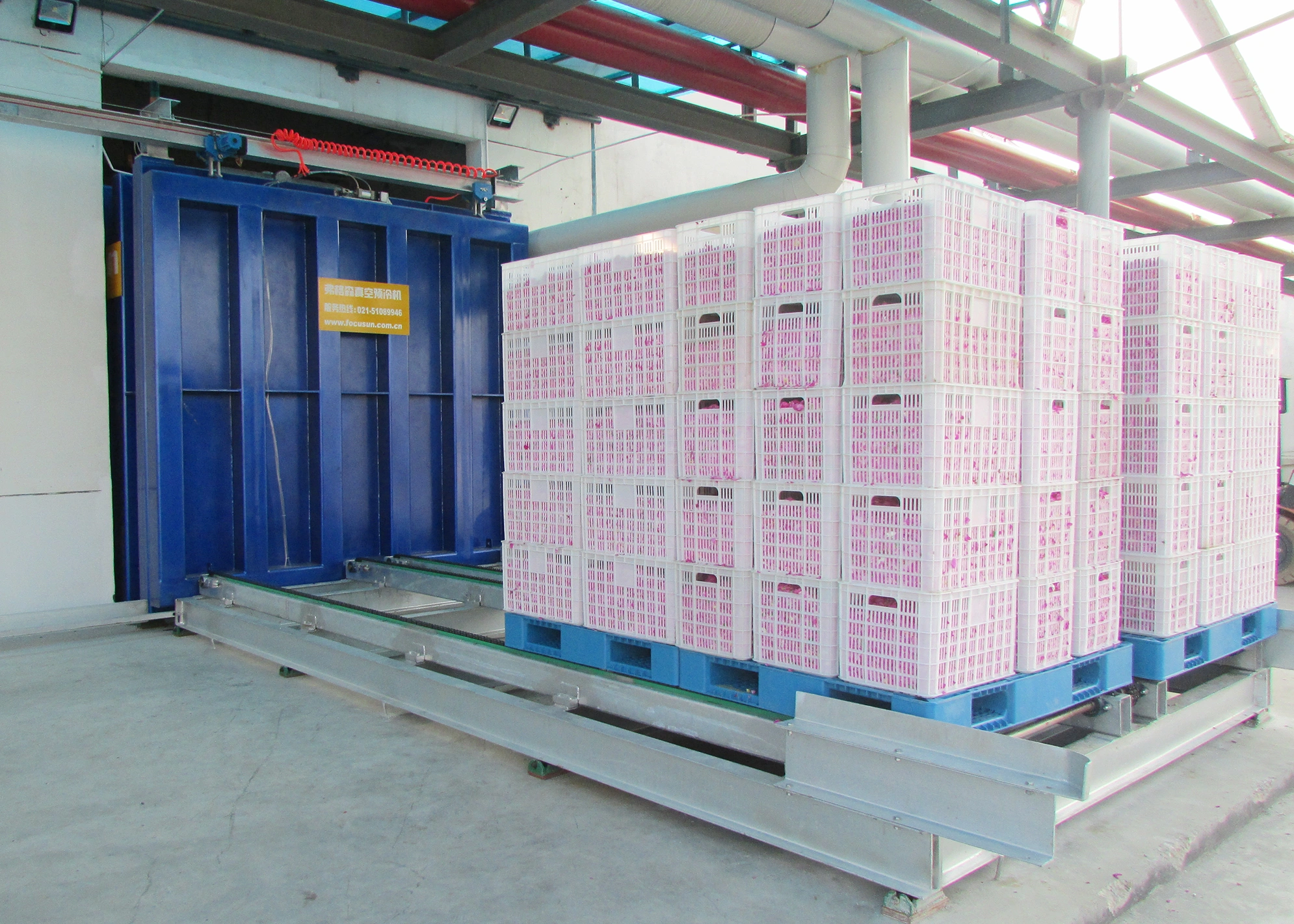 Premier Vacuum Cooler Picks for 2026: Keep Food Fresh from Farm to Kitchen