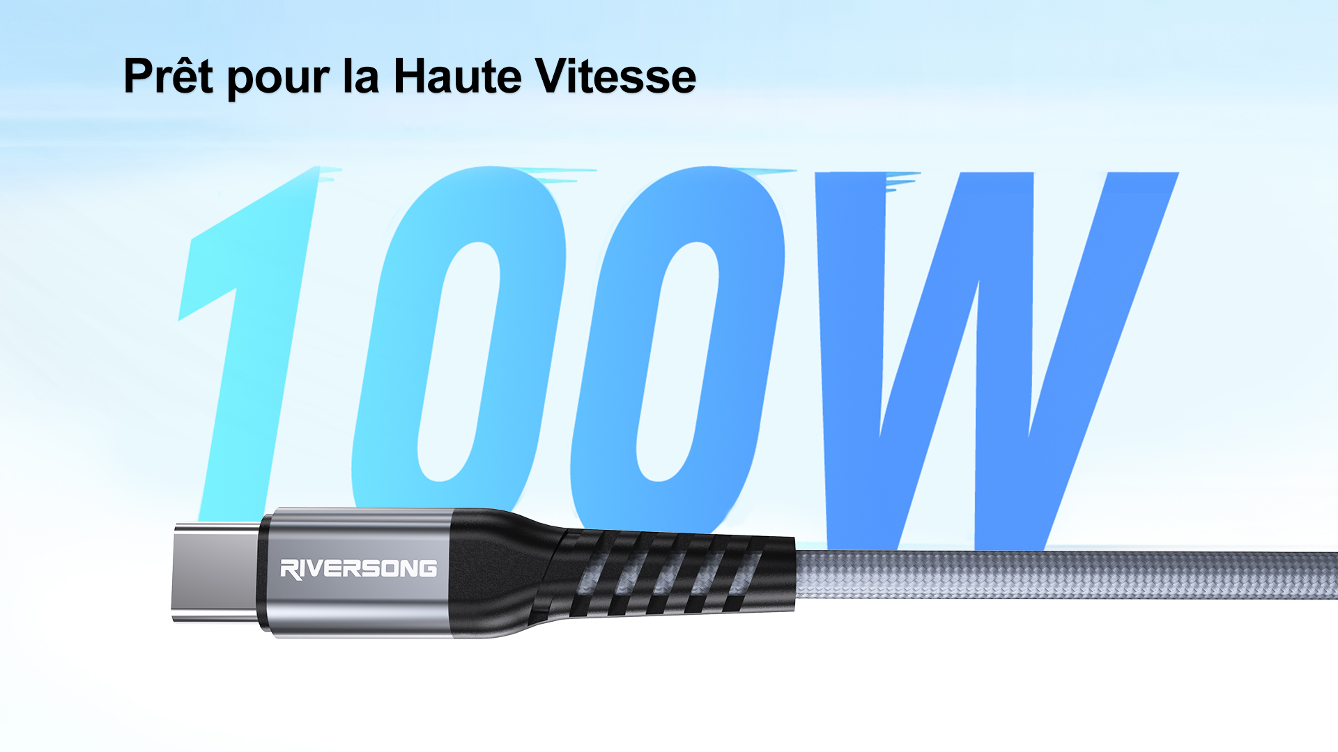 RIVERSONG Hercules C6 (CT50) Câble de Charge Rapide 100W 5A PD,USB-C ...