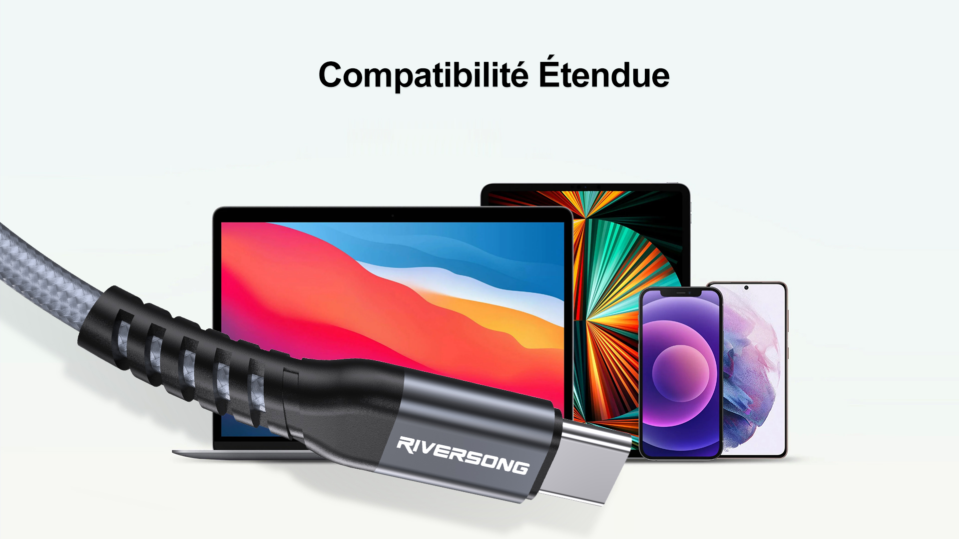 RIVERSONG Hercules C6 (CT50) Câble de Charge Rapide 100W 5A PD,USB-C ...