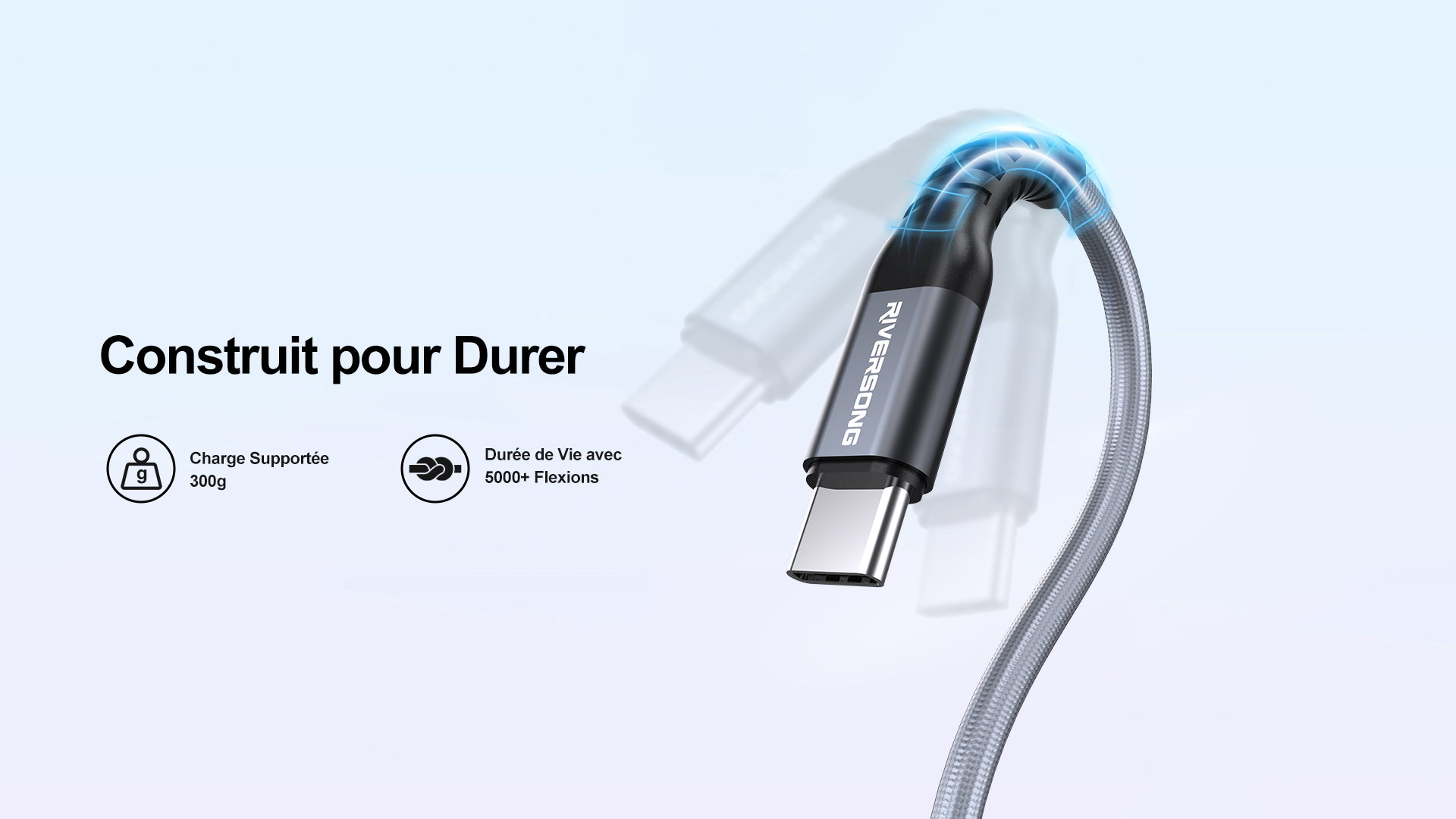 RIVERSONG Hercules C6 (CT50) Câble de Charge Rapide 100W 5A PD,USB-C ...