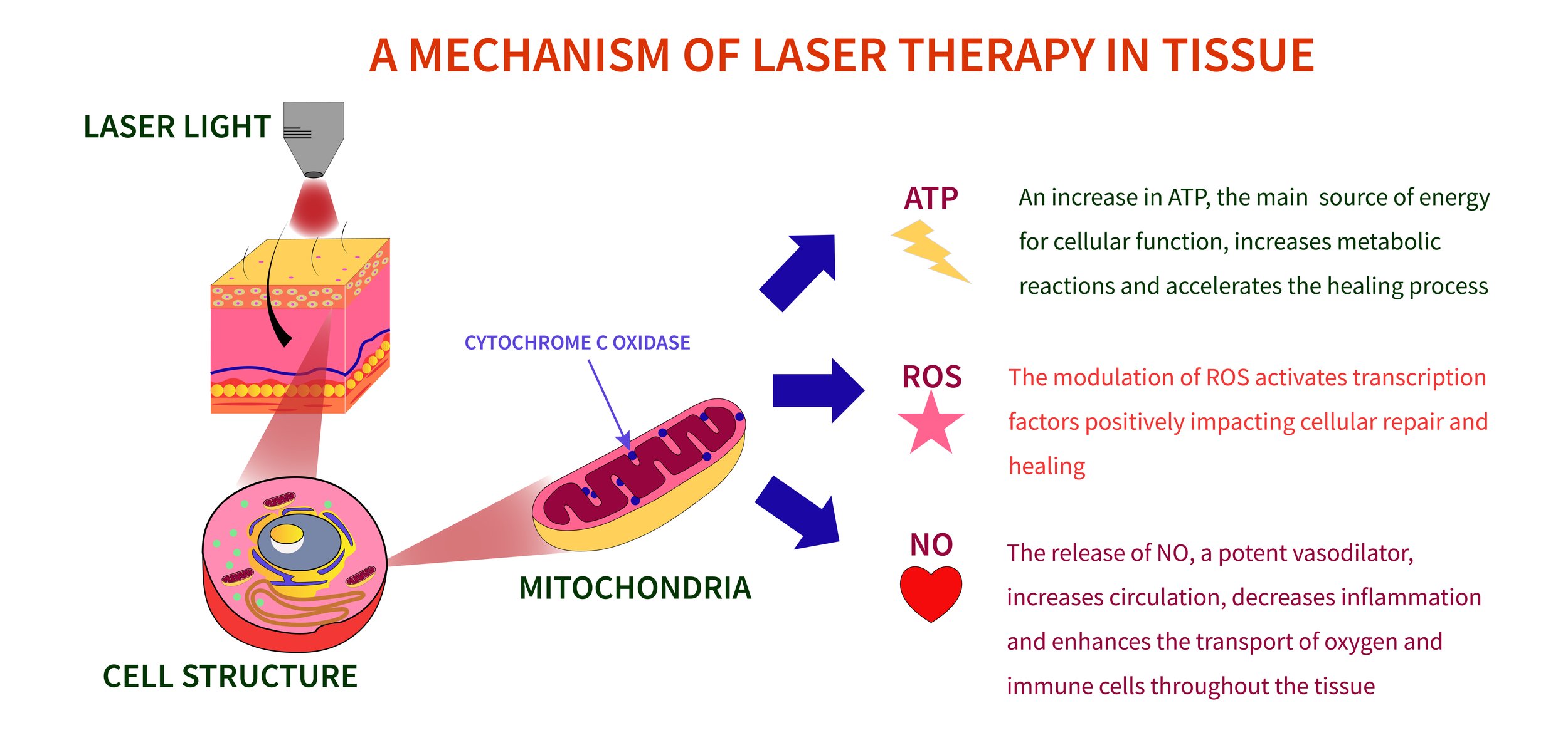 Class VI Laser Therapy