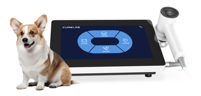Vet Laser Therapy