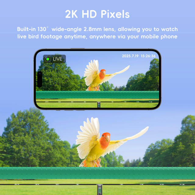The Latest 2026 Acrylic Bird Feeder With Built-In Wifi Camera, Window ...