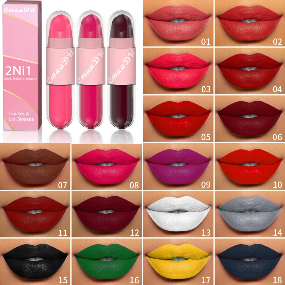 2-in-1 Matte Finish lipstick