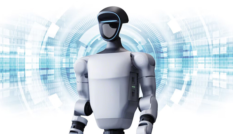 2026 Humanoid Robot Market Status & Outlook: Lithium Battery Pack Core ...