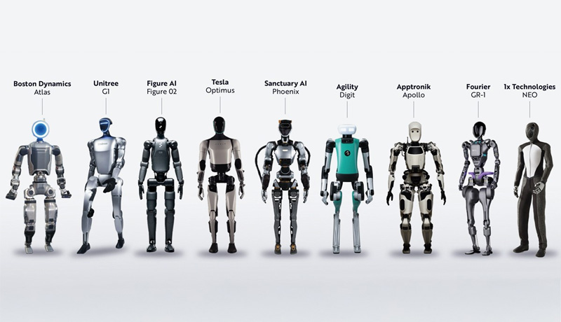 2026 Humanoid Robot Market Status & Outlook: Lithium Battery Pack Core ...