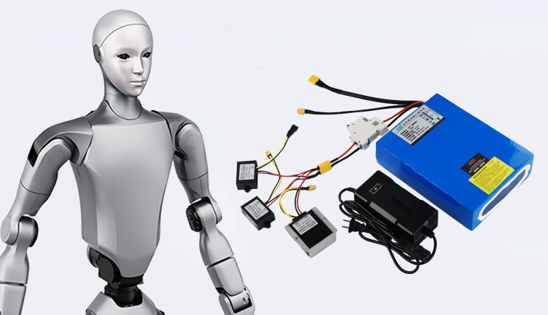 Custom Lithium Battery Packs & Humanoid Robot Battery Solutions ...