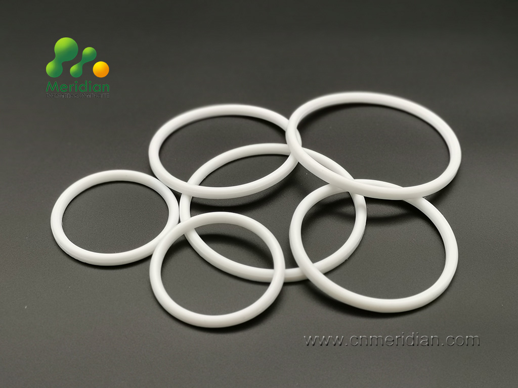 Backup Rings