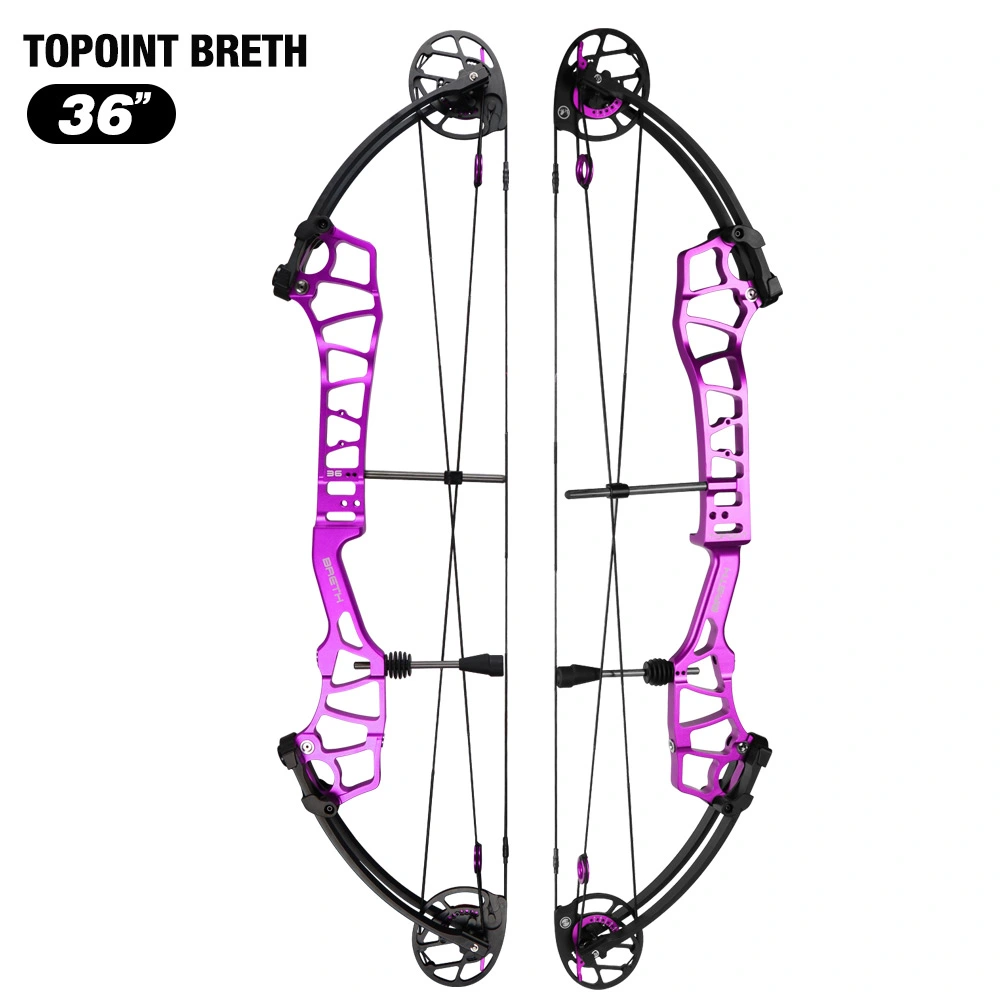 purple compound bow