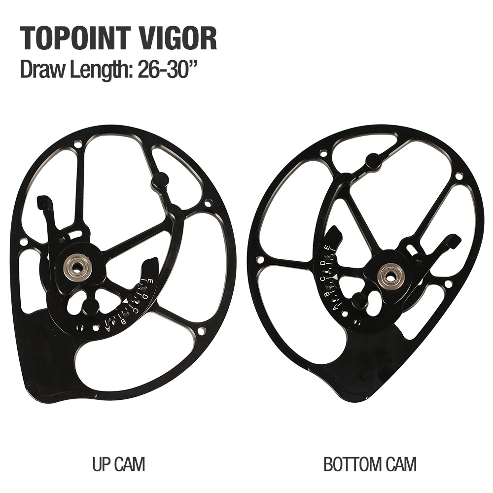 Compound bow CAM system