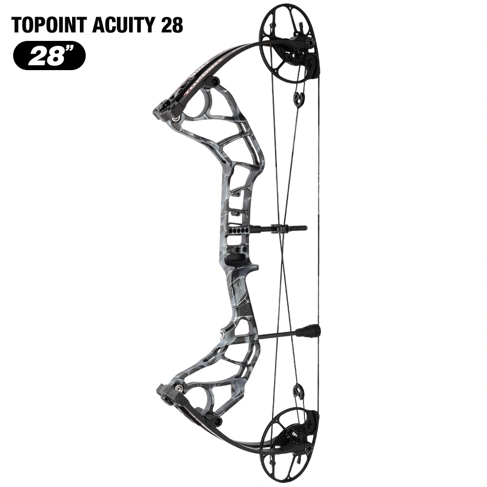 compound hunting bow