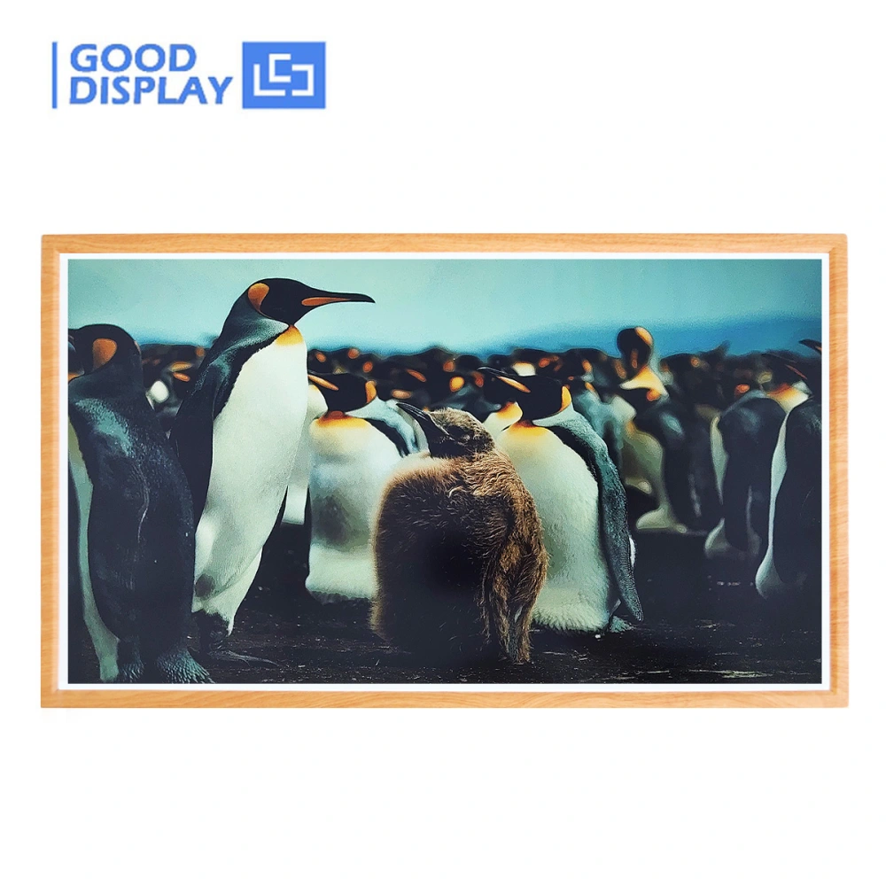 Large E-ink Display 31.5-inch Color e-Paper Display, E Ink Spectra 6 ...