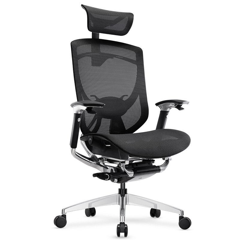 DIPPERCHAIR Executive Ergonomic Office Chair-SMILE